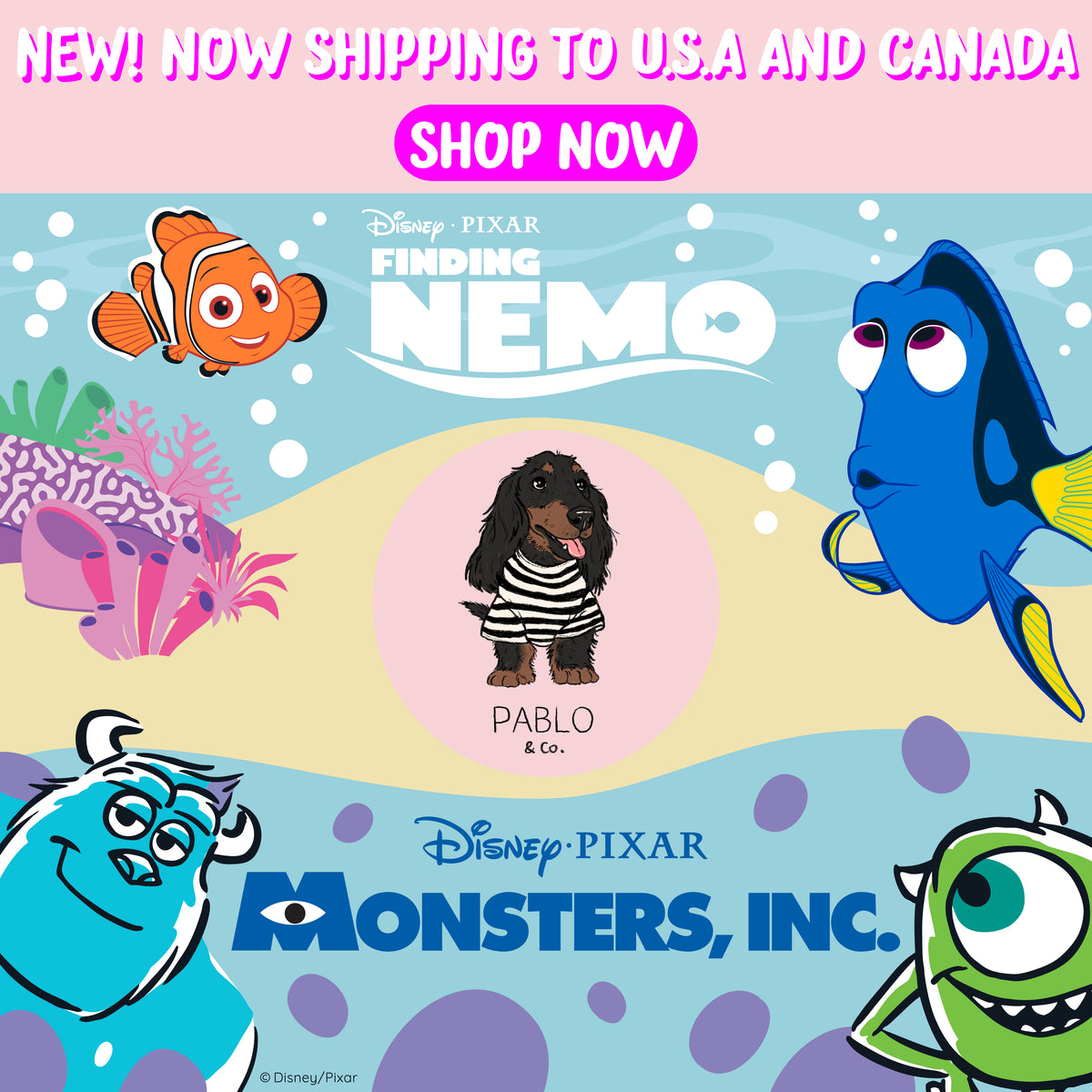Shop Finding Nemo & Monsters Inc Dog Collections at DoggyTopia