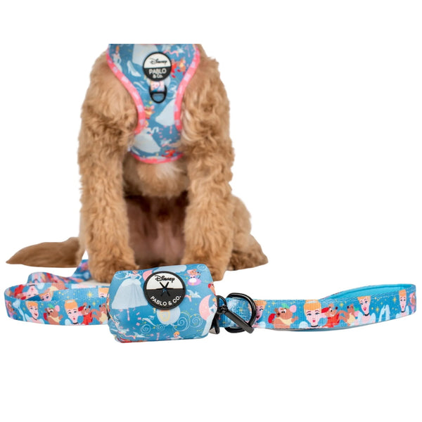 Shop Pablo Cinderella Collection at DoggyTopia | DoggyTopia