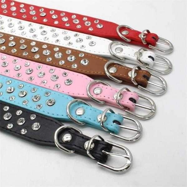 Dog Collar Australia | Fast & Express Shipping | Wide Range - DoggyTopia